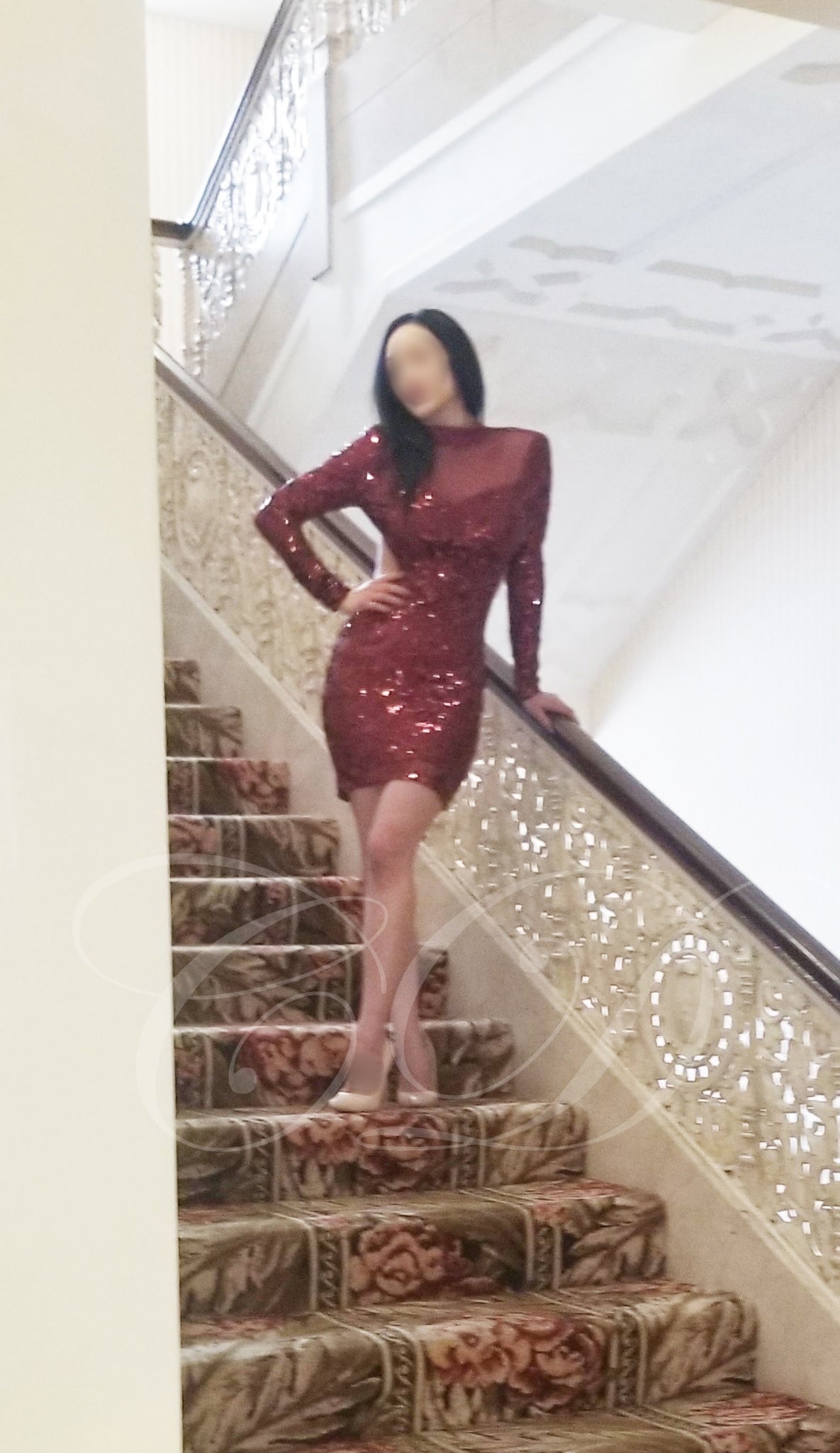 Carli Delgado ️ Female Escort w/Brown Eyes in San Francisco | Slixa